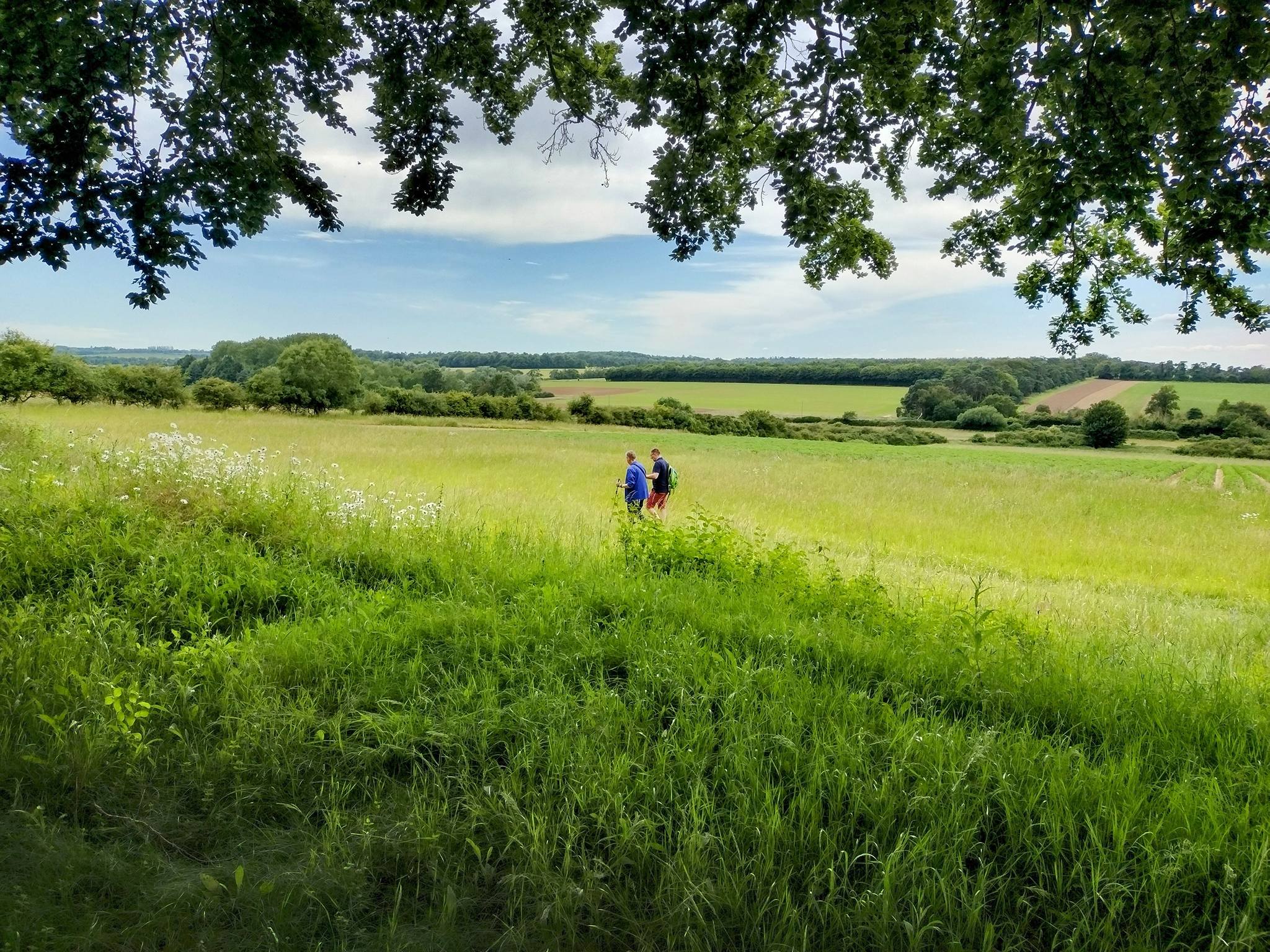 Unearthing Suffolk's Black Ditches - Arcane Landscape