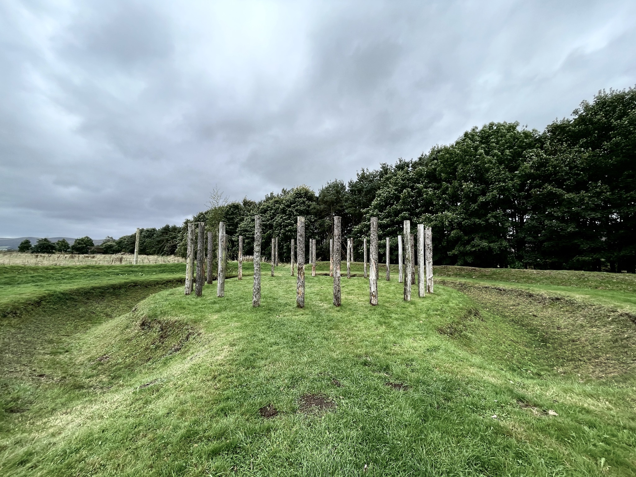 Decoding the linear landscape - Arcane Landscape